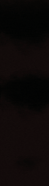 160x600